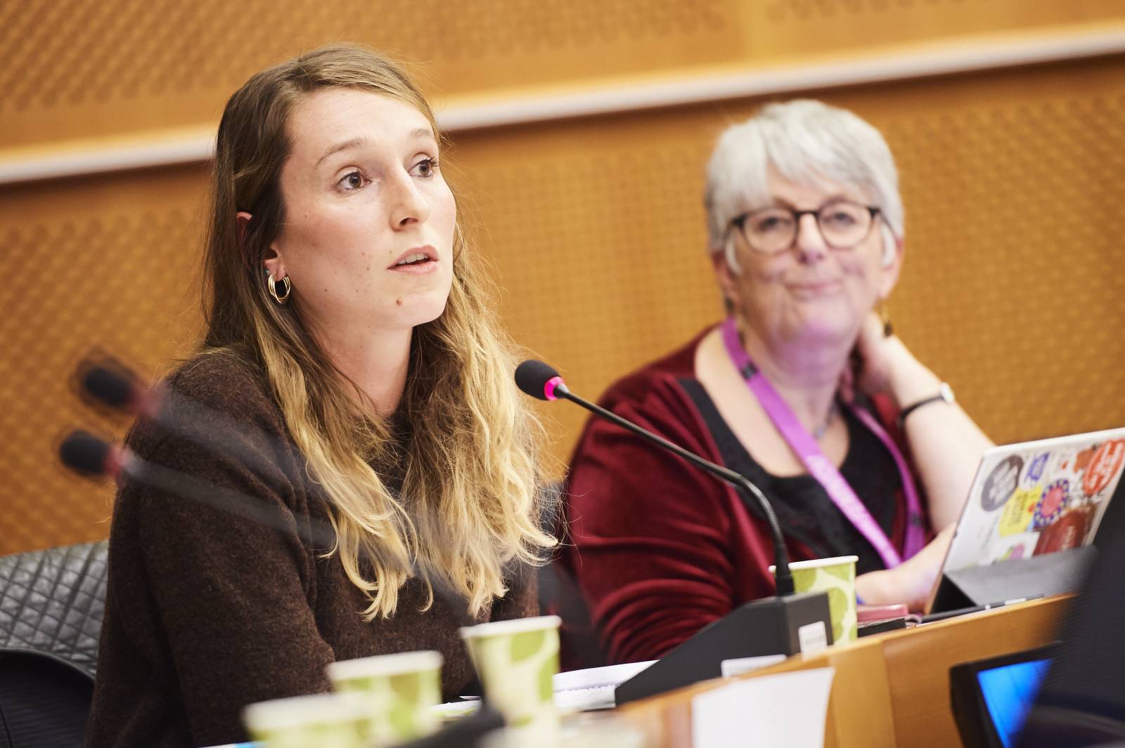 Towards a gender sensitive European Parliament: State of play and ways ...