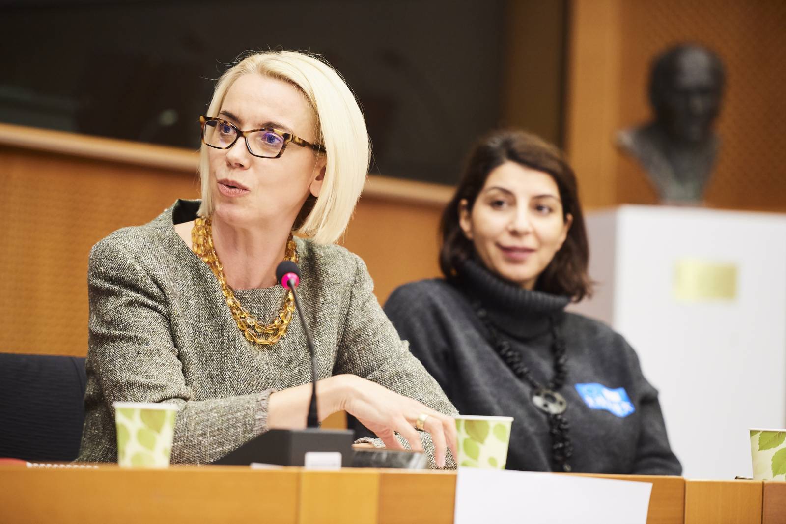 Towards a gender sensitive European Parliament: State of play and ways ...