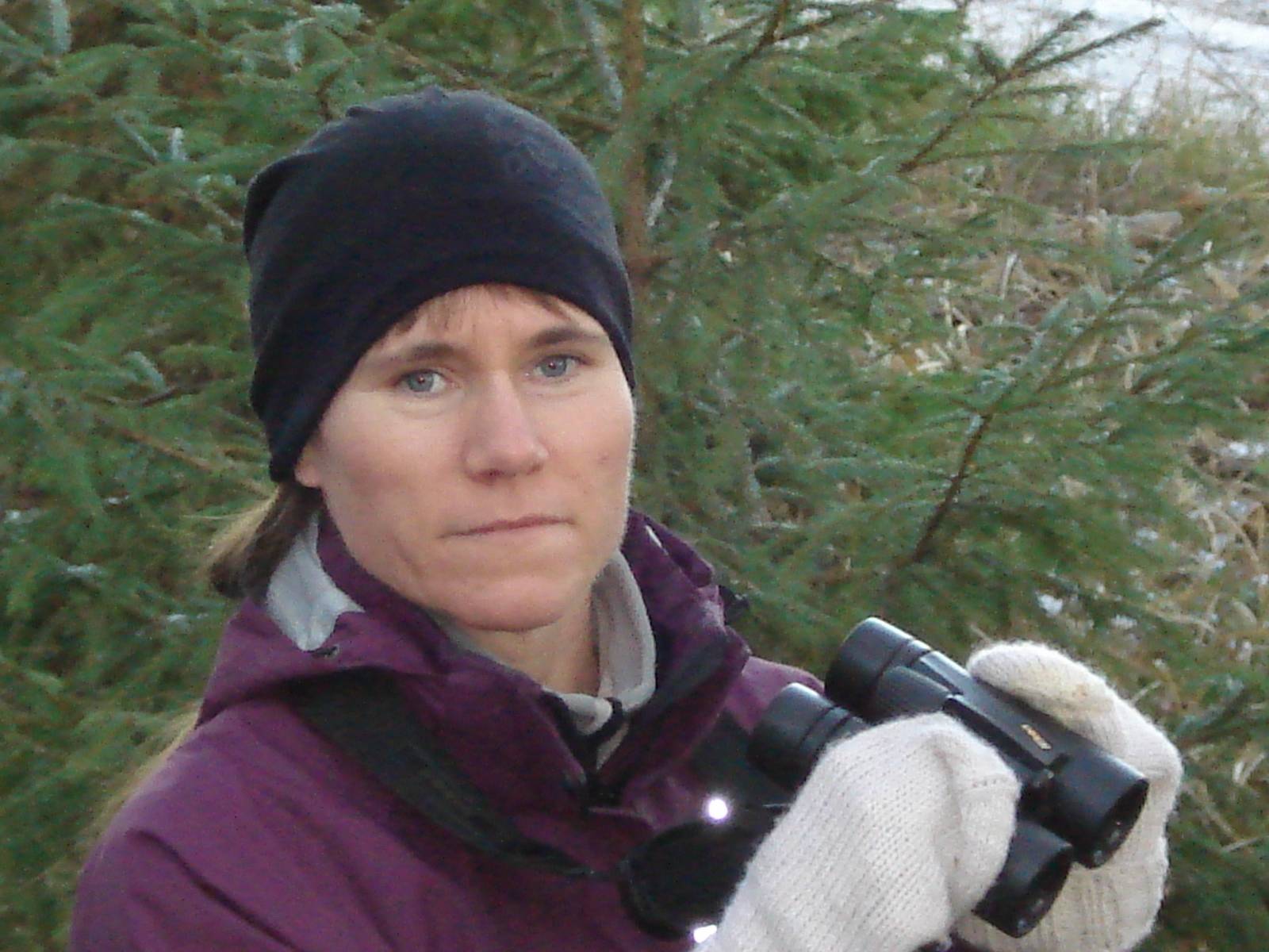 NYT!-kollektiivi | NYT! Ahdistuksesta nuorten ympäristöpoliittiseen ...